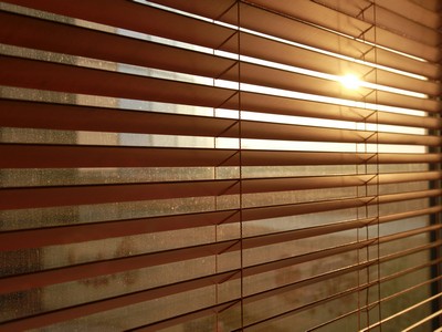 How to Care for Your Wood Blinds: Maintenance Tips for Long-Lasting Beauty | Palmetto Blinds ...